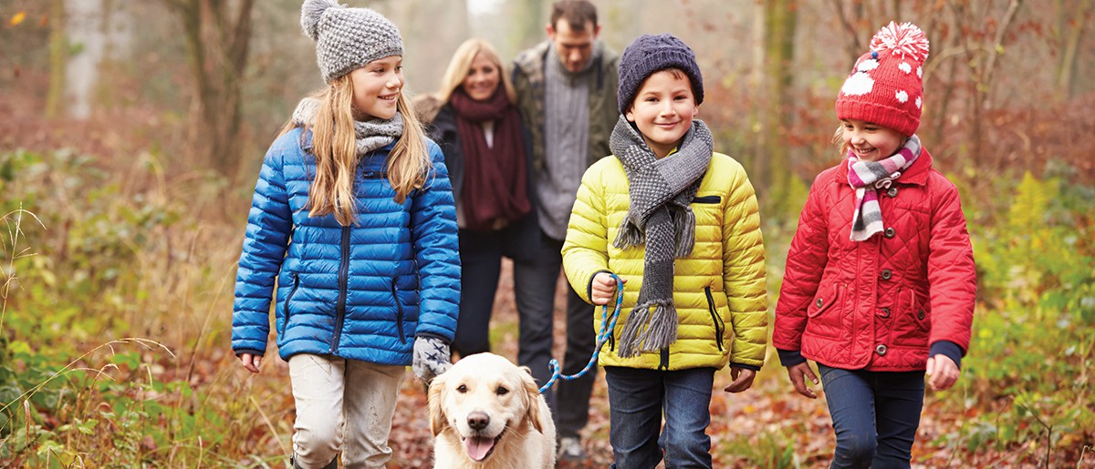 Katy Mackenzie, Mortgage Broker